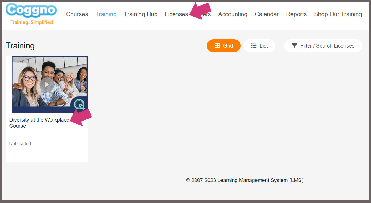 How to Check Your Licenses – Coggno Knowledge Base
